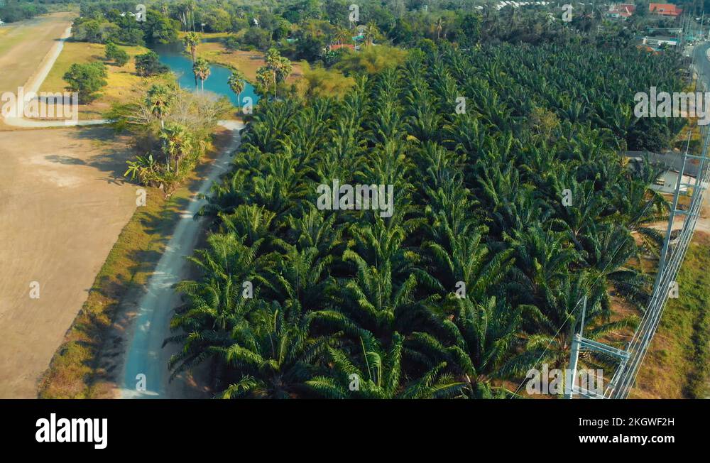 Asia landscape Stock Videos & Footage - HD and 4K Video Clips - Alamy