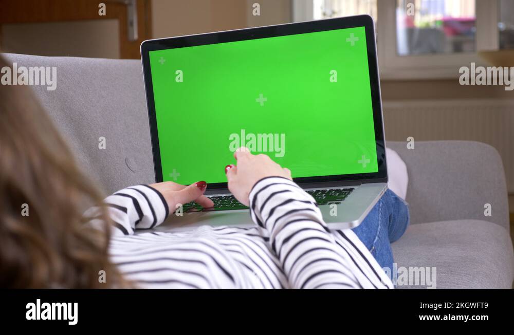 Closeup back view shoot of female networking on the laptop with green ...