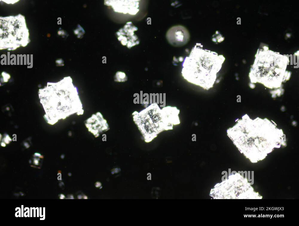 Salt crystal microscope Stock Videos & Footage - HD and 4K Video Clips ...