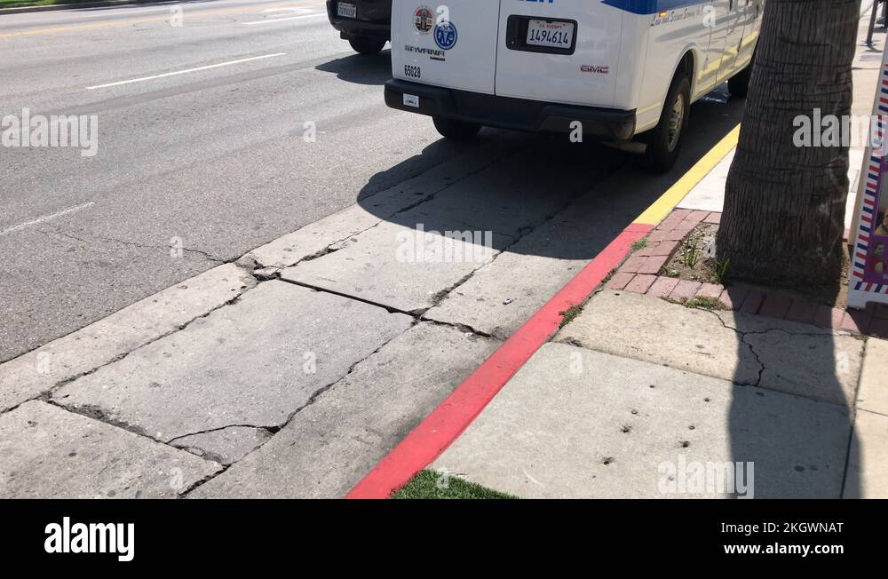 Rear shot of Coroner Van, doors closed with flashing lights in muder ...