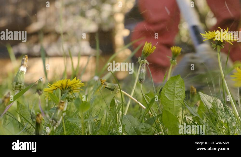 Gas grass mower Stock Videos & Footage - HD and 4K Video Clips - Alamy