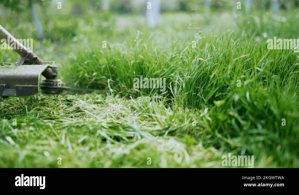 Rotary trimmer cutter Stock Videos & Footage - HD and 4K Video Clips ...