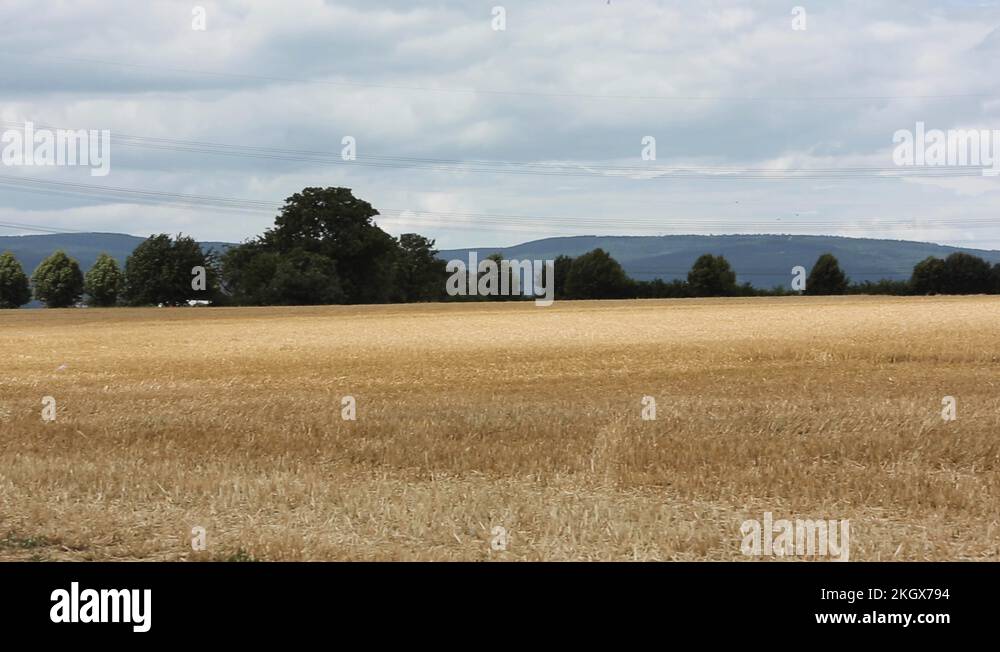 Field in rural area Stock Videos & Footage - HD and 4K Video Clips - Alamy