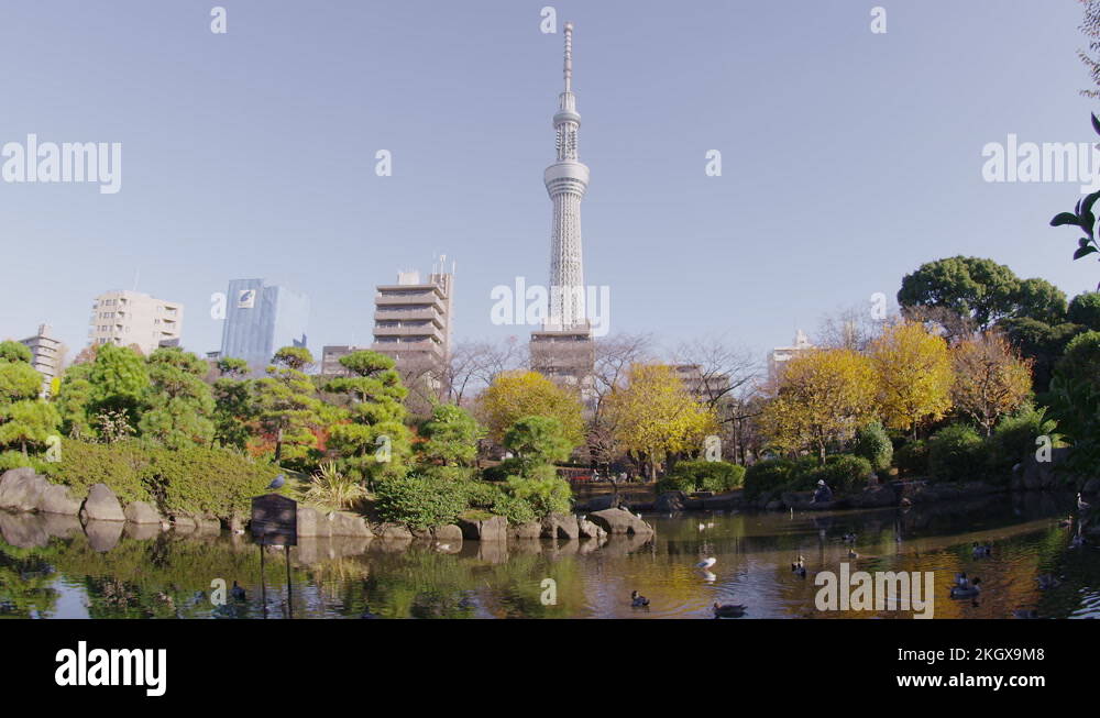 Tokyo sumida park Stock Videos & Footage - HD and 4K Video Clips - Alamy