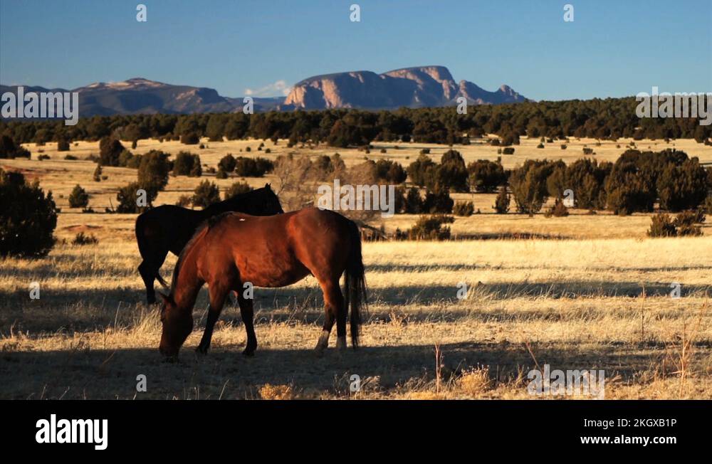 Vision and scenic scenery Stock Videos & Footage - HD and 4K Video ...