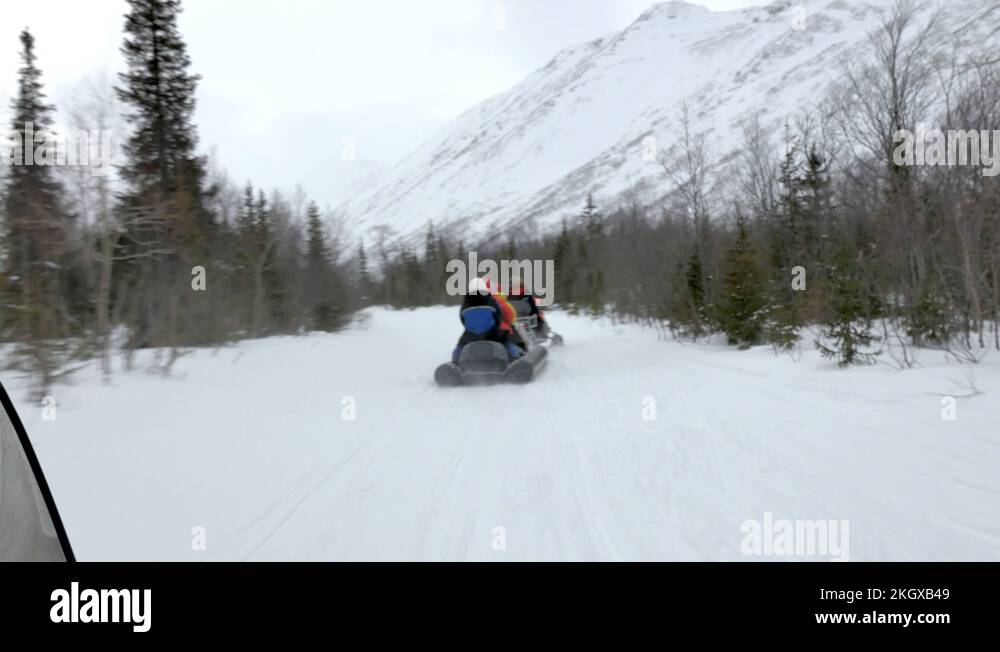 Snow banana tree Stock Videos & Footage - HD and 4K Video Clips - Alamy
