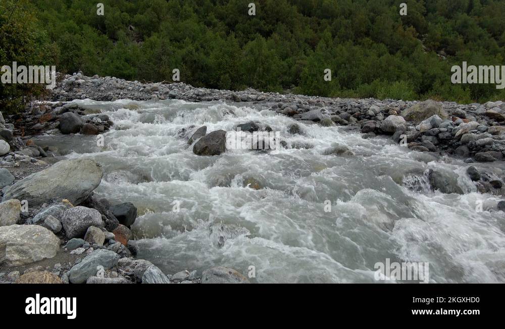 View river scenes in forest Stock Videos & Footage - HD and 4K Video ...