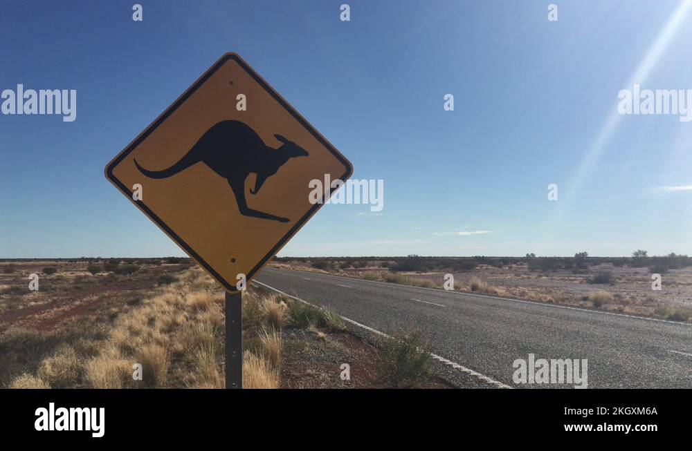 Beware of kangaroos Stock Videos & Footage - HD and 4K Video Clips - Alamy