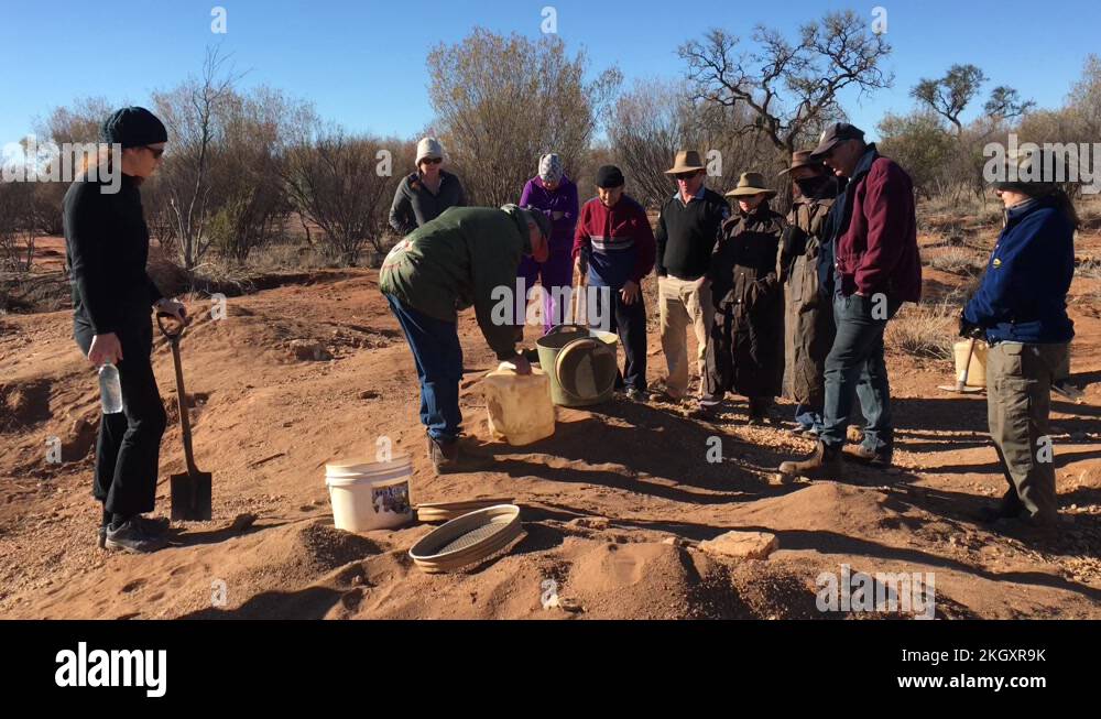People digging for fossils Stock Videos & Footage - HD and 4K Video ...