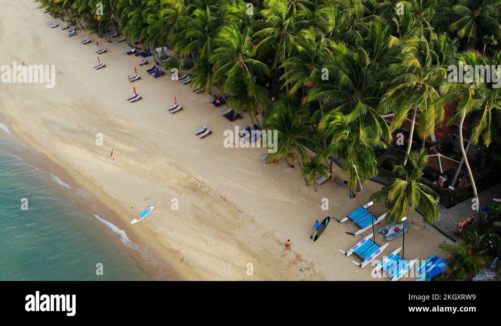 Blue lagoon and sandy beach with palms. Aerial view of blue lagoon and ...