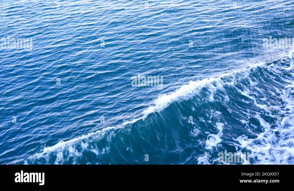 Trace wave Stock Videos & Footage - HD and 4K Video Clips - Alamy