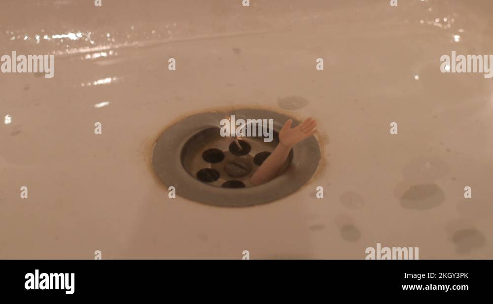 Flushed out Stock Videos & Footage - HD and 4K Video Clips - Alamy