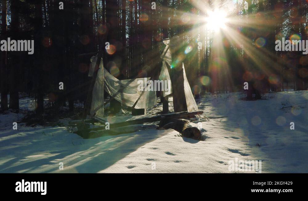 Empty wooden hut in the forest in winter Stock Videos & Footage - HD ...