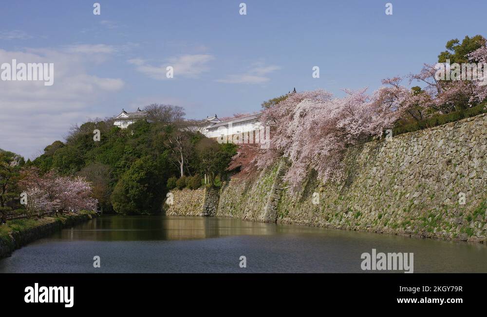 Castles moat Stock Videos & Footage - HD and 4K Video Clips - Alamy