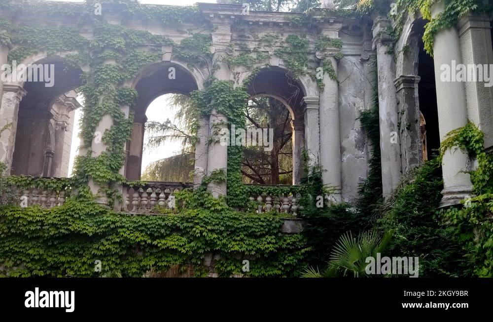 Castle ivy castle Stock Videos & Footage - HD and 4K Video Clips - Alamy