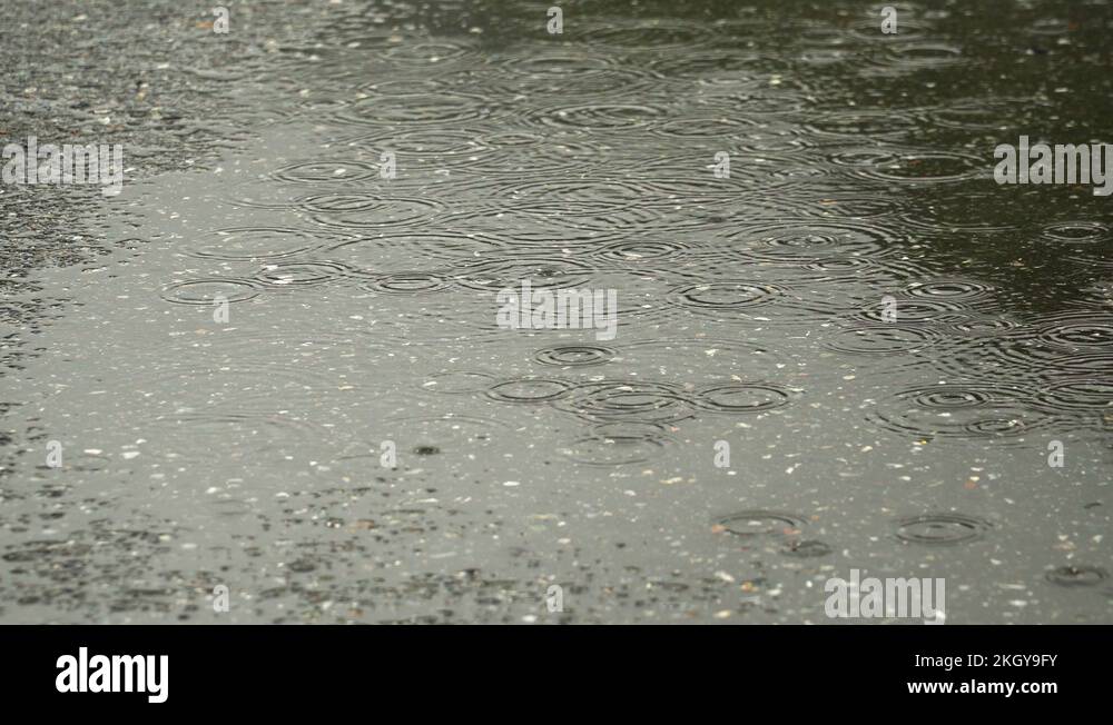 Rain Drops Falling on Wet Asphalt Road. Rainy Weather with Pools on ...