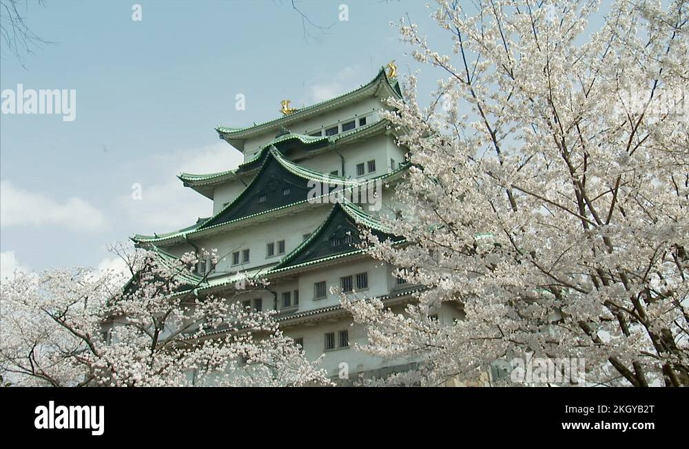 Of nagoya castle Stock Videos & Footage - HD and 4K Video Clips - Alamy