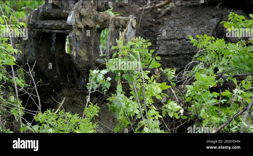Indonesia deforestation palm oil forest Stock Videos & Footage - HD and ...