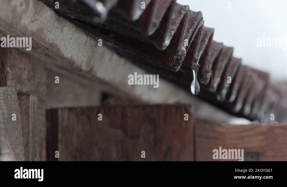 snow melts and water drops drip from the old roof of the house Stock ...
