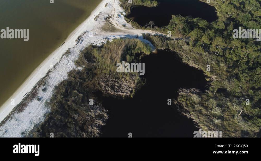 Beach habitats Stock Videos & Footage - HD and 4K Video Clips - Alamy