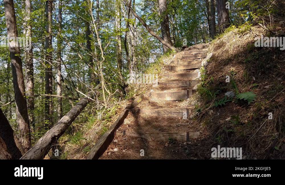 Stairs path way mountain Stock Videos & Footage - HD and 4K Video Clips ...
