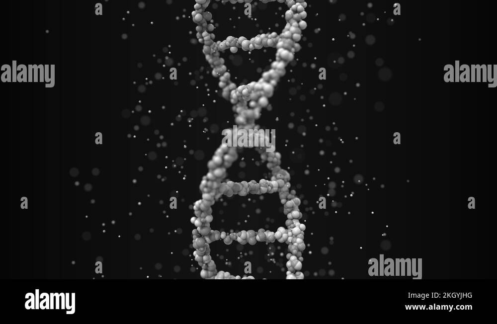 Grey DNA molecule model. Loopable 3D animation Stock Video Footage - Alamy