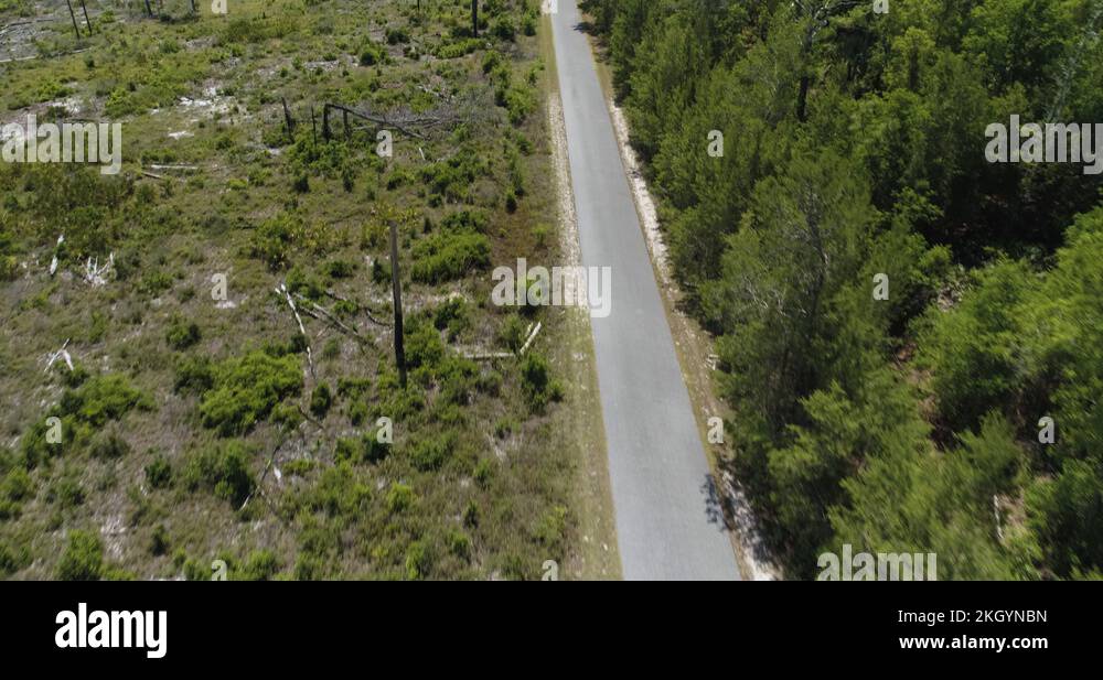 Flying through canopy of trees along cycle path drone aerial 4K Stock ...