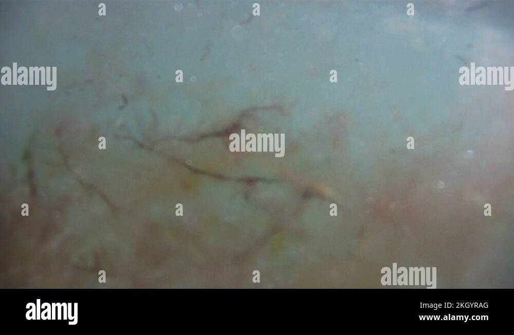 Underwater camera drowning Stock Videos & Footage - HD and 4K Video ...