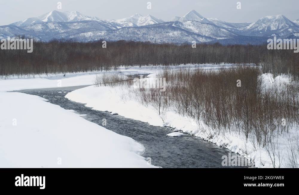 Shari Stock Videos & Footage - HD and 4K Video Clips - Alamy