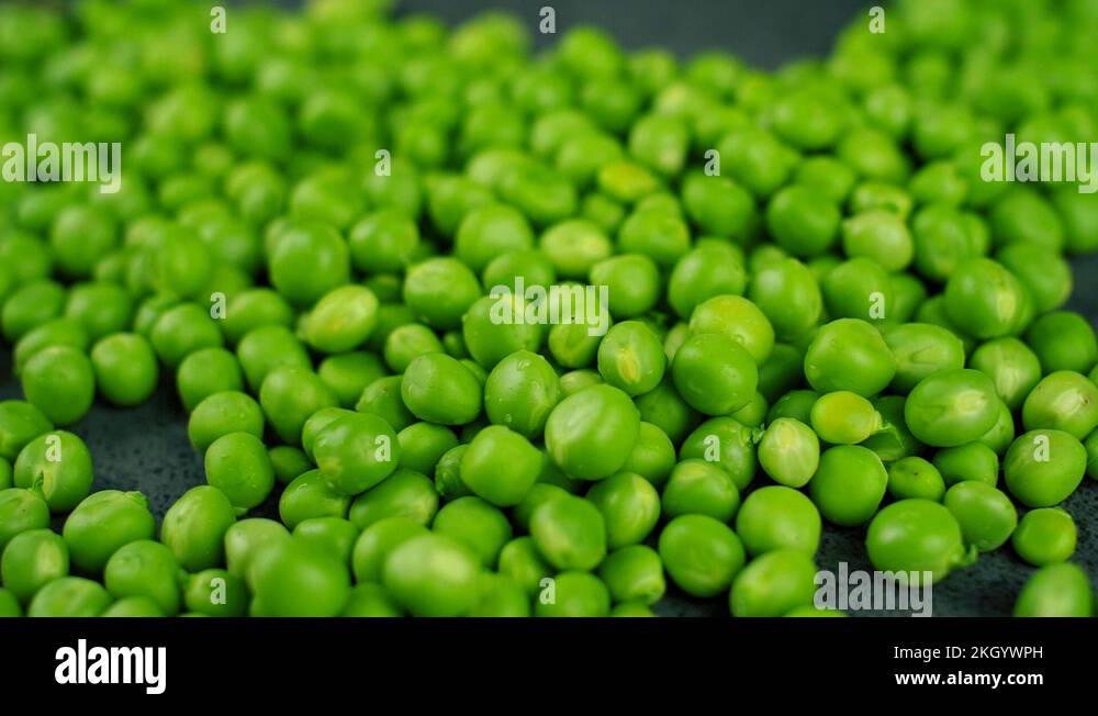 Green fresh pea falling in slow motion. Close up food background video ...