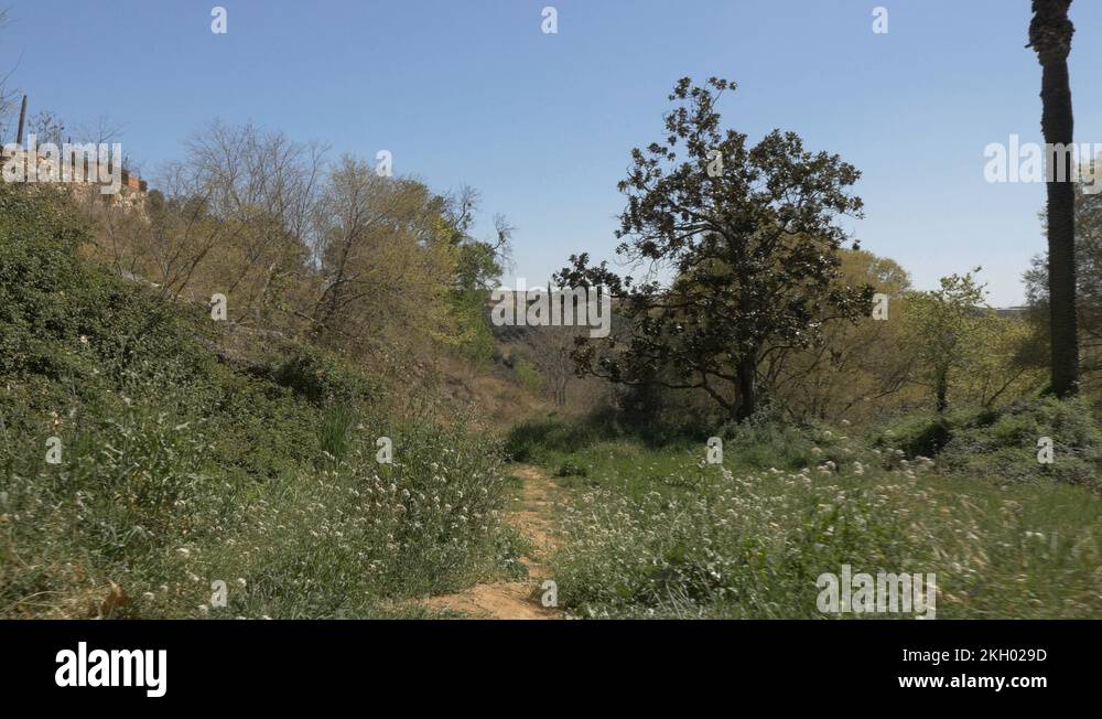 Traveling stabilized gimbal countryside campo field trees grass way ...