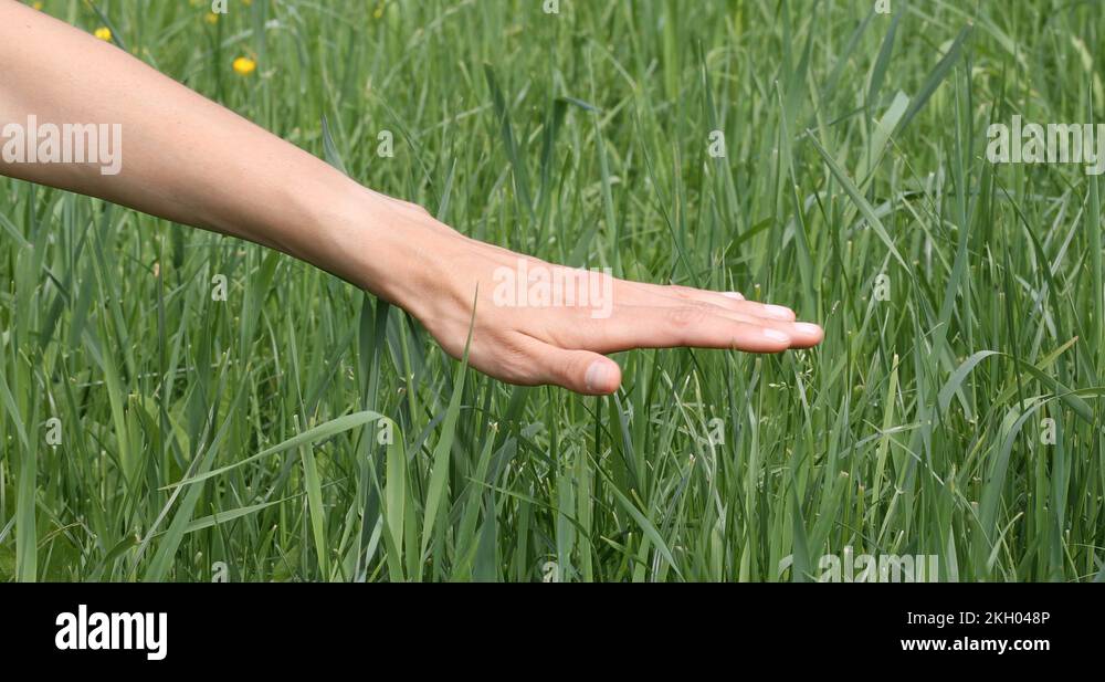 Hand blades Stock Videos & Footage - HD and 4K Video Clips - Alamy