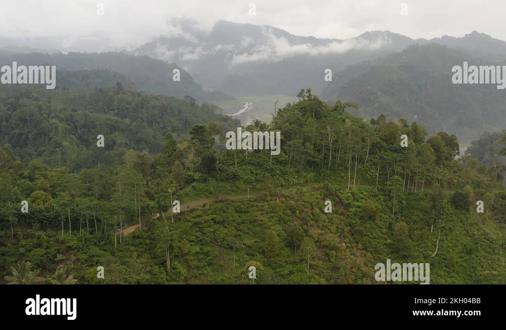 Beautiful natural scenery of river in southeast Asia tropical green ...