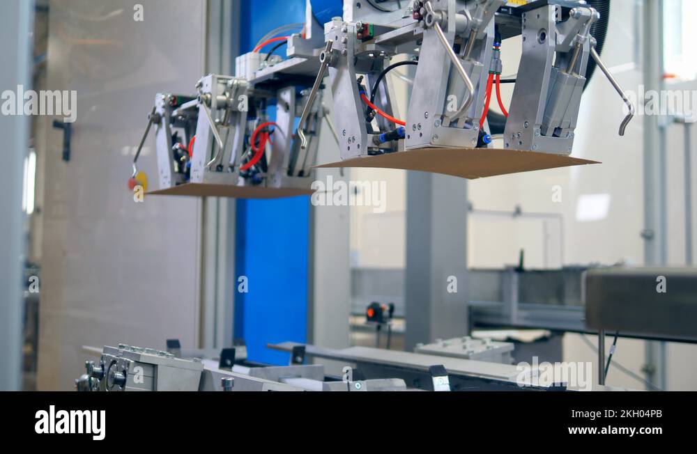 Automated assembly line places carton sheets on a moving line at a ...