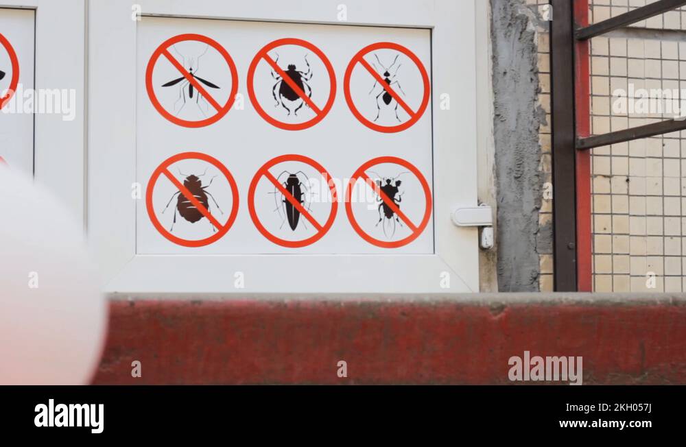 insect signs parasite anti fly symbol creature poisonous bloodsucker ...