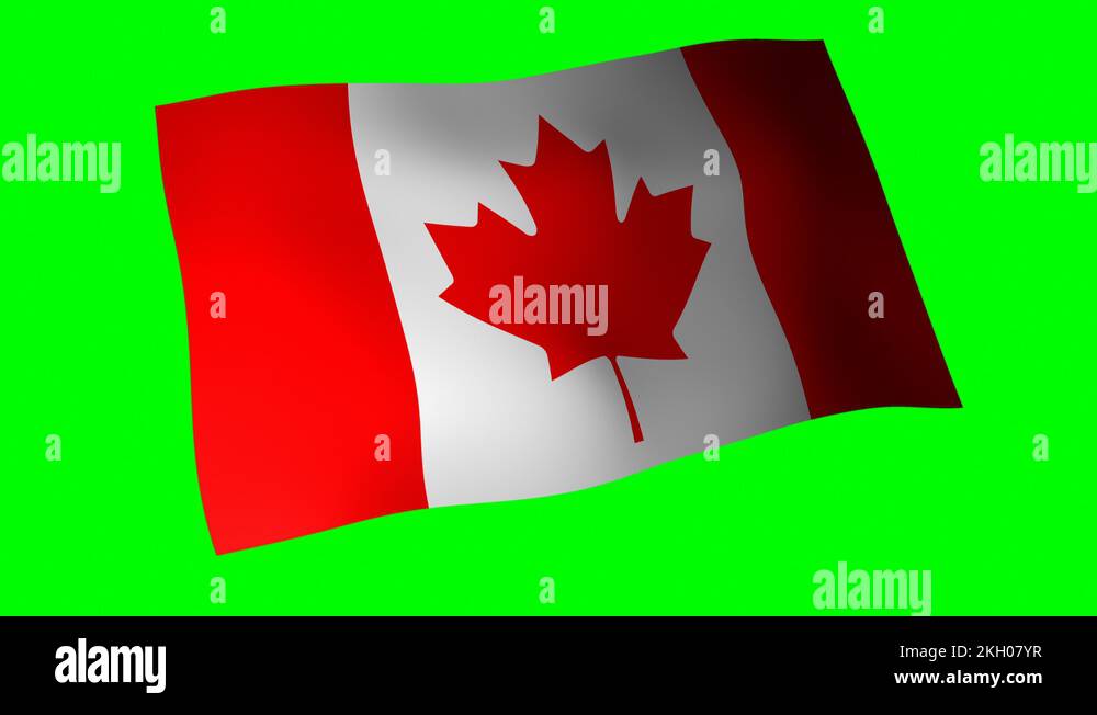 Waving Canadian national flag concept. Green background for chroma ...