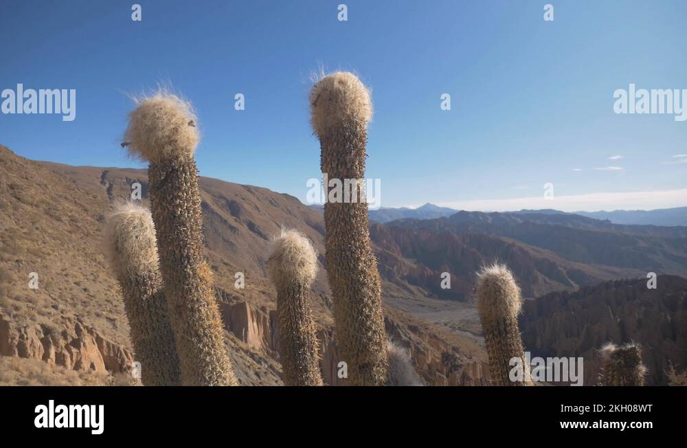Beautiful scenery bolivia Stock Videos & Footage - HD and 4K Video ...