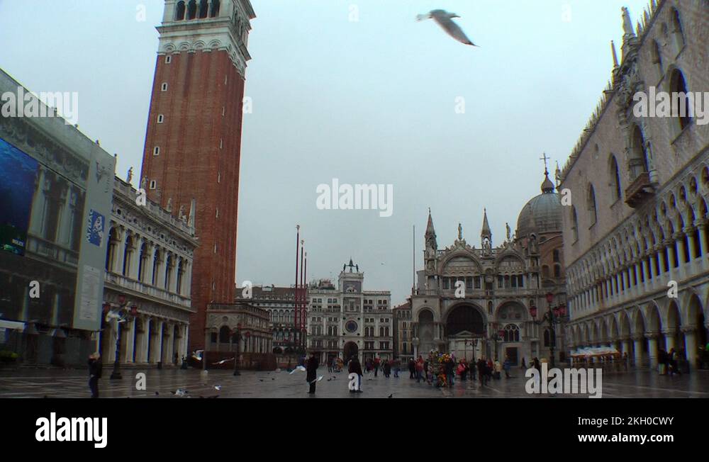 Square of venice Stock Videos & Footage - HD and 4K Video Clips - Alamy