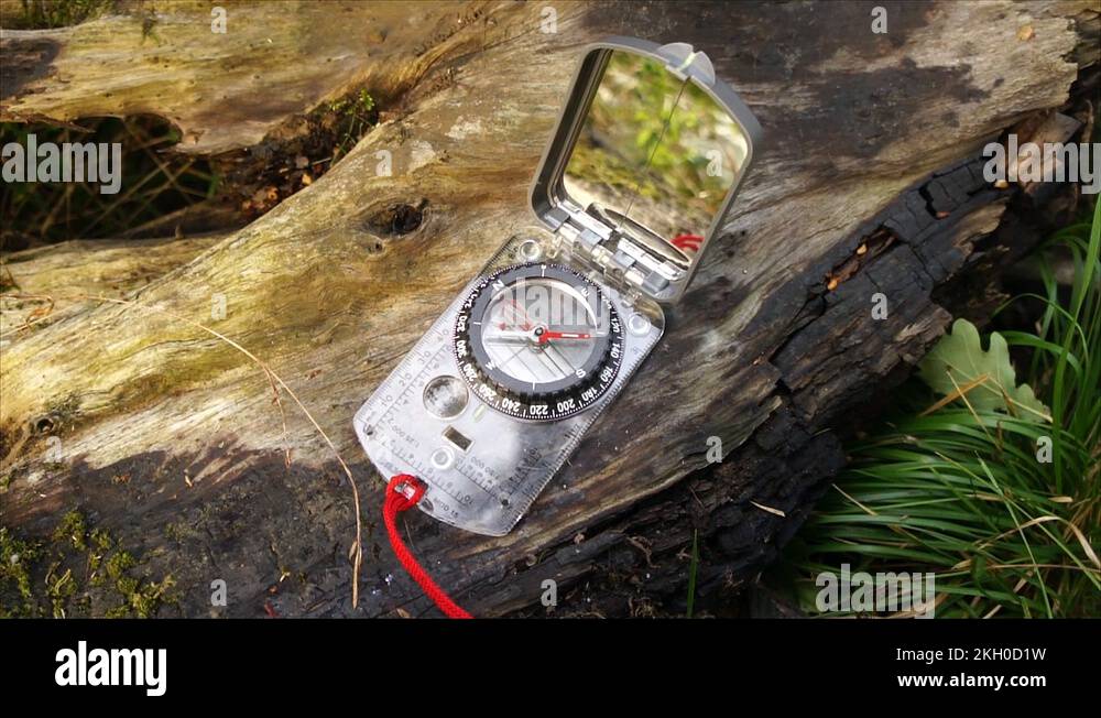 Compass in nature Stock Videos & Footage - HD and 4K Video Clips - Alamy