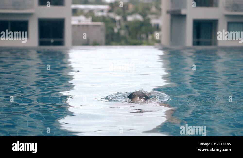 Lady dive tour Stock Videos & Footage - HD and 4K Video Clips - Alamy