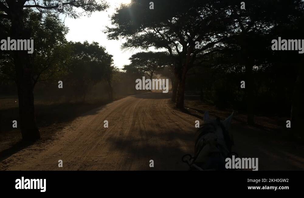 Horse rider view Stock Videos & Footage - HD and 4K Video Clips - Alamy