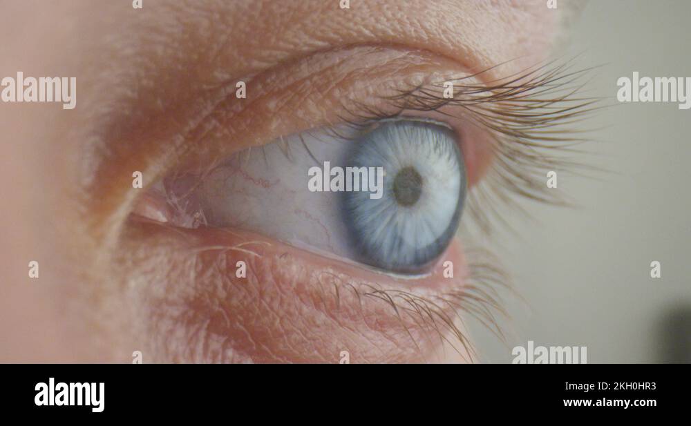 How to shoot eye of human Stock Videos & Footage - HD and 4K Video ...