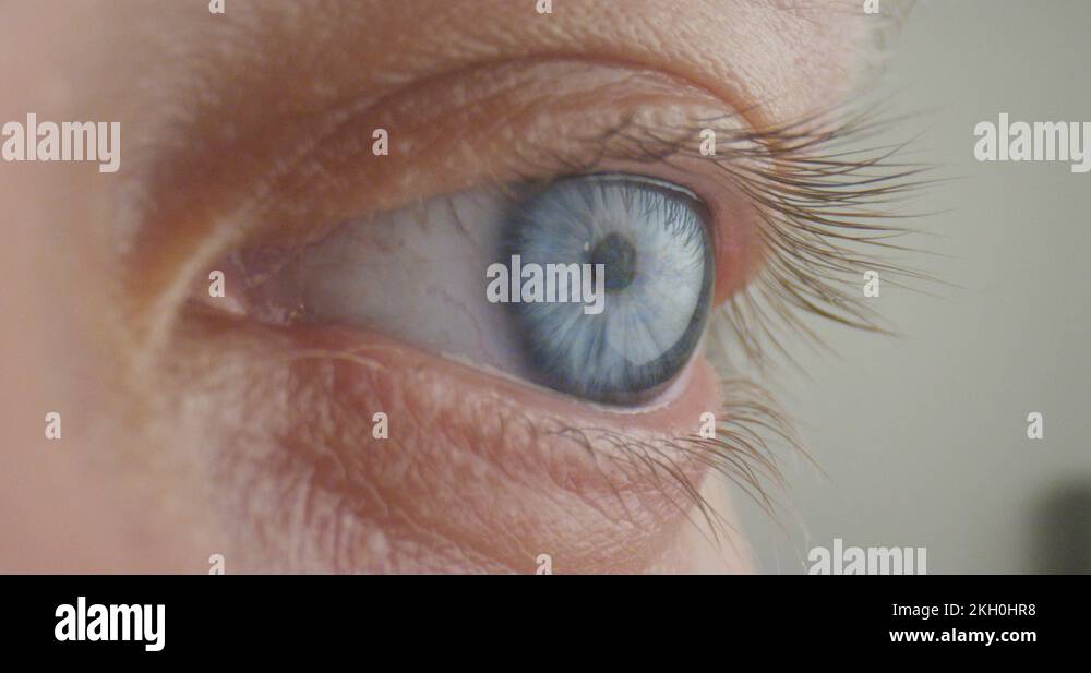 Human eye very detailed Stock Videos & Footage - HD and 4K Video Clips ...