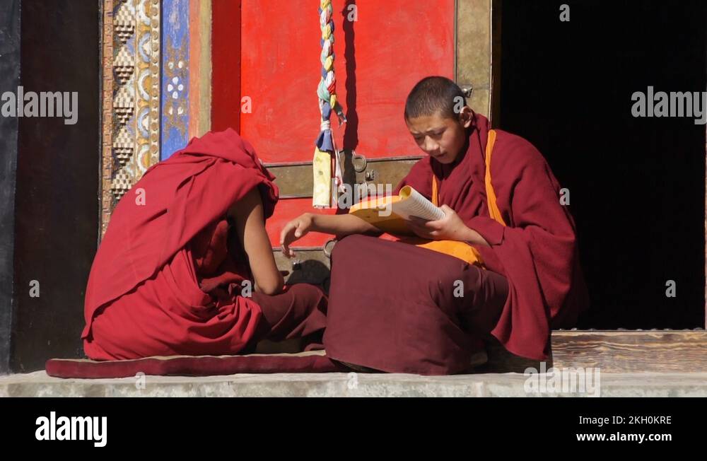 Sitting reading monks Stock Videos & Footage - HD and 4K Video Clips ...