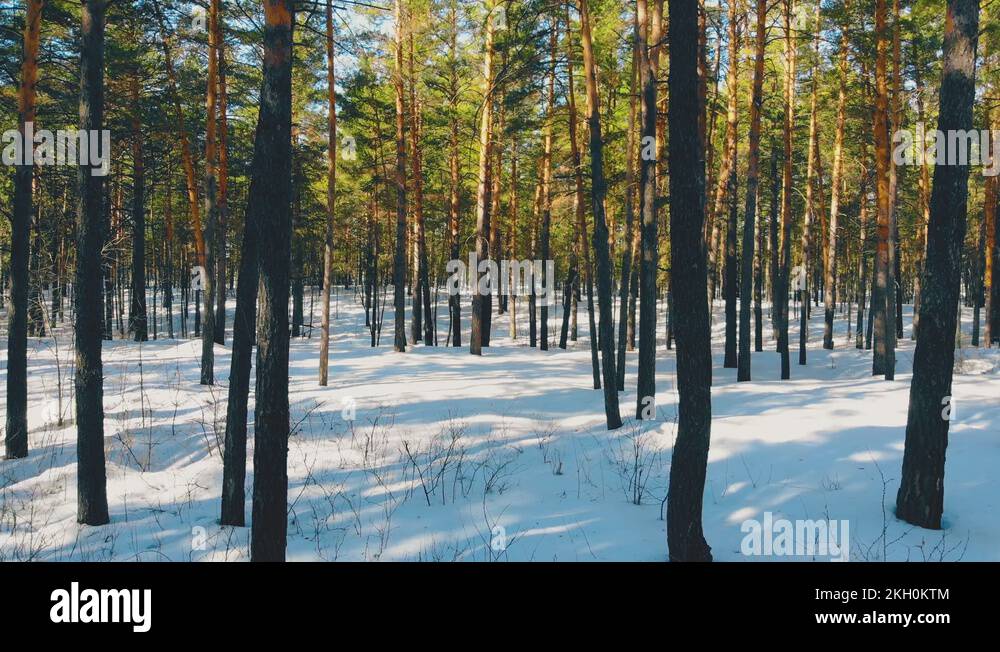 Lighted area Stock Videos & Footage - HD and 4K Video Clips - Alamy