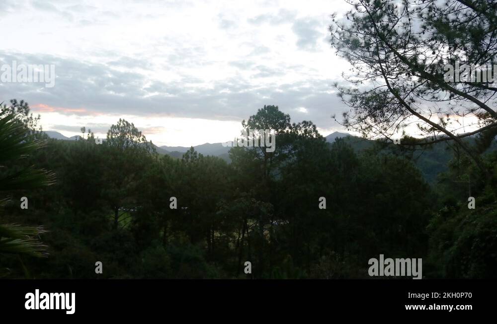 Night of the amazons Stock Videos & Footage - HD and 4K Video Clips - Alamy