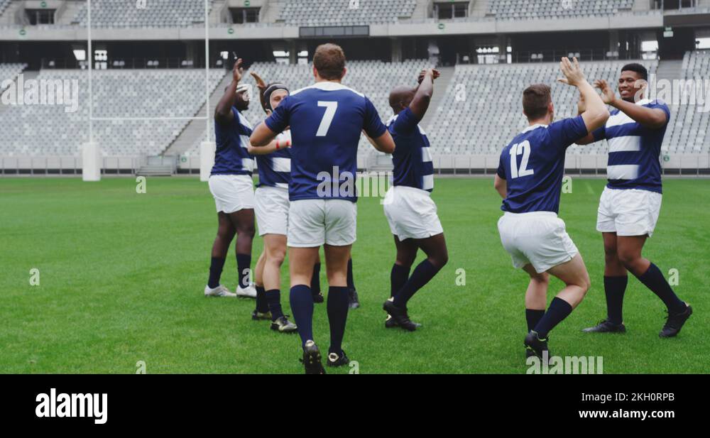 Rugby ground stadium Stock Videos & Footage - HD and 4K Video Clips - Alamy