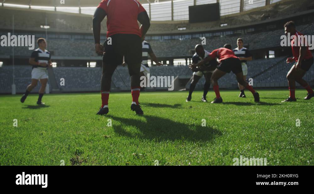 Rugby players playing rugby match in stadium 4k Stock Video Footage - Alamy