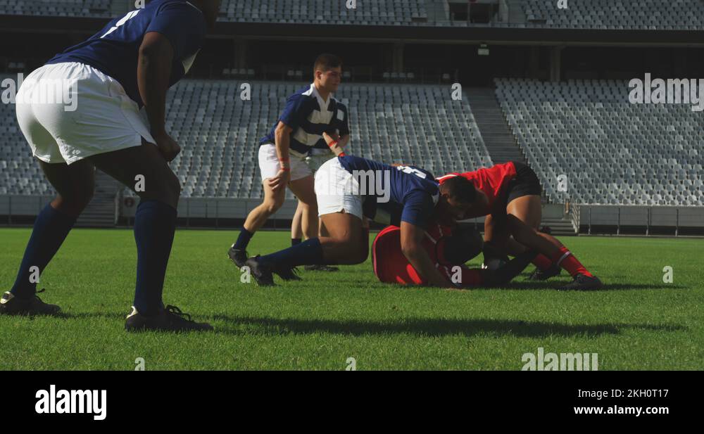 Rugby players playing rugby match in stadium 4k Stock Video Footage - Alamy
