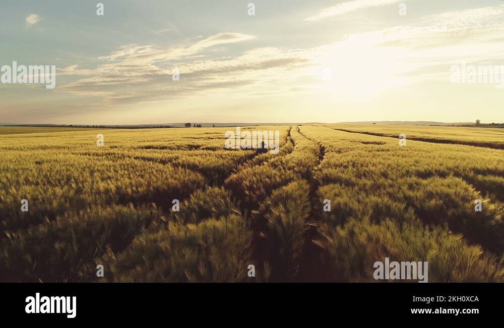 Busy Old Farmer. Agriculture, Farming Concept Stock Video Footage - Alamy
